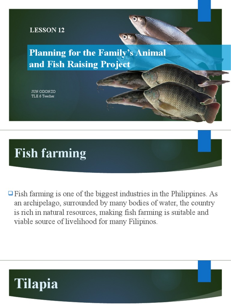 FISH Planning For The Family's Animal and Fish Raising Project 3 | PDF ...