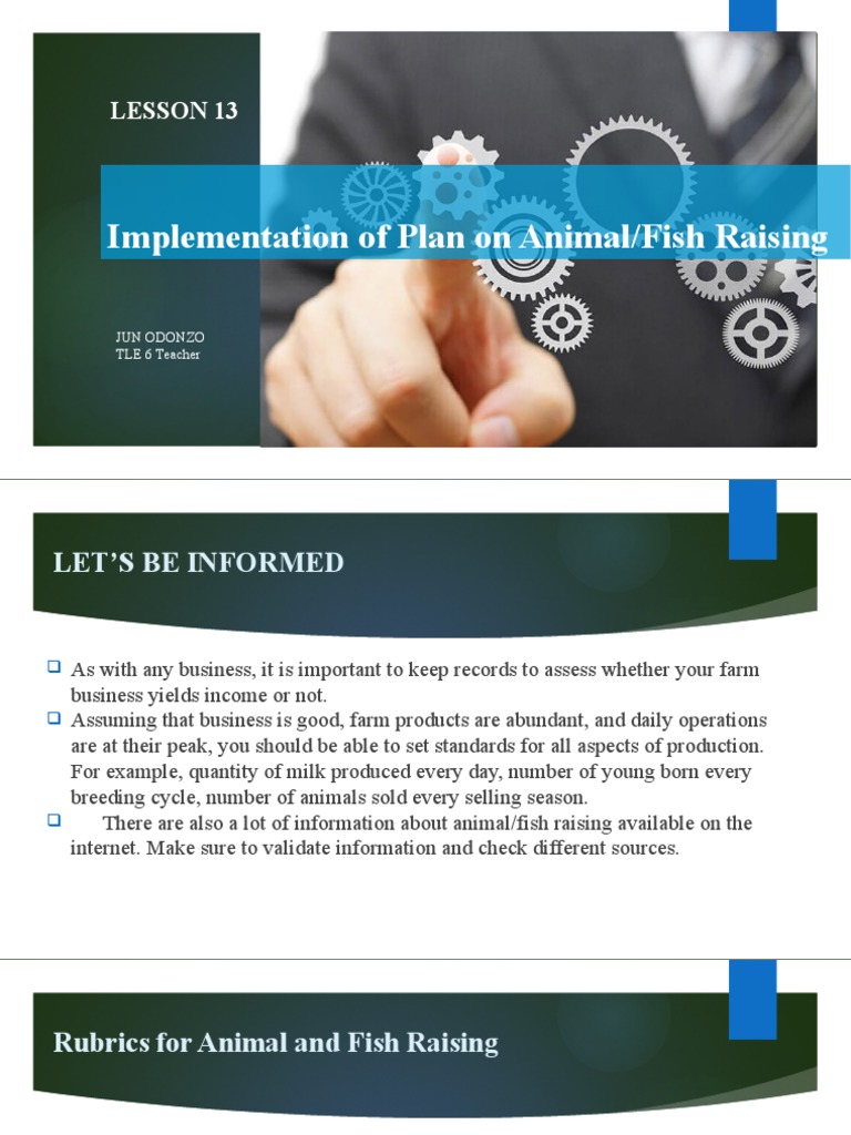 Implementation of Plan On Animalfish Raising | PDF