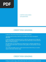 Credit Policy Guidelines | PDF | Credit Card | Banks