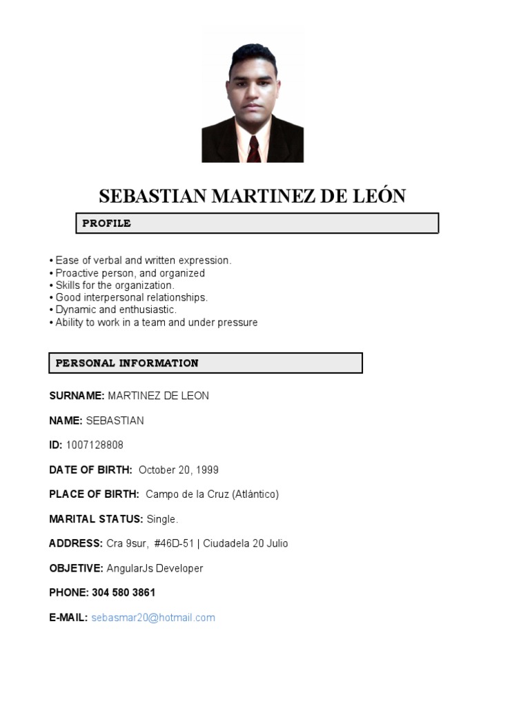 AngularJs Developer Profile | PDF