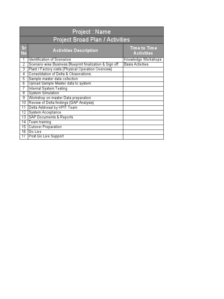 SAP Project Implementation Plan | PDF