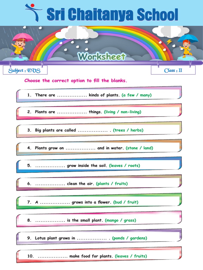 EVS Plants Worksheet for Class 2 | PDF
