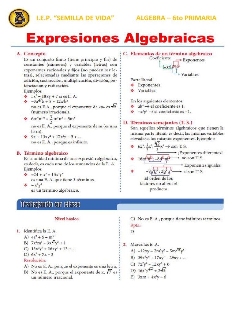 Algebra - 6to Primaria | PDF