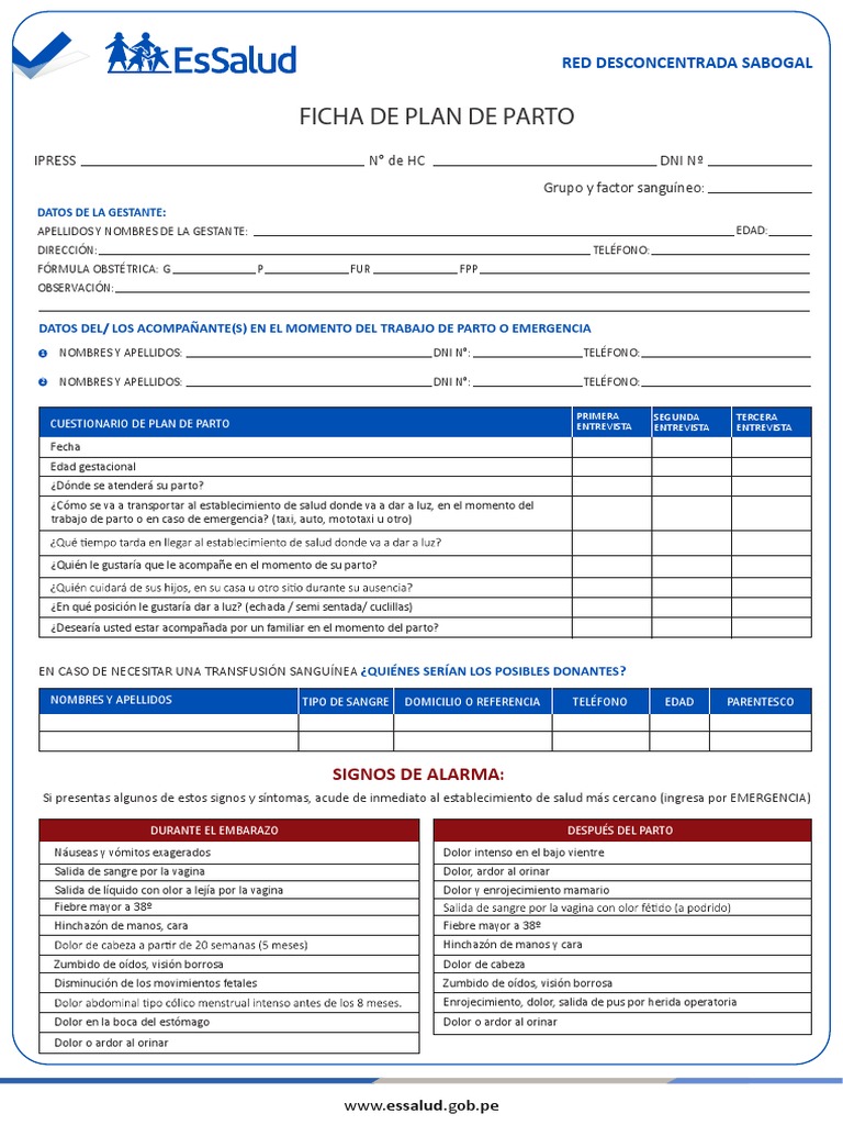 Formato de Plan de Parto Rds 2017 | PDF | Parto | La salud de la mujer