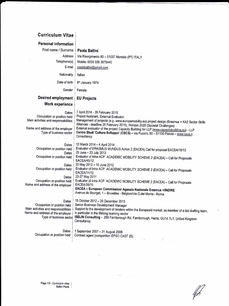 CV Ballini | PDF | European Union | Business