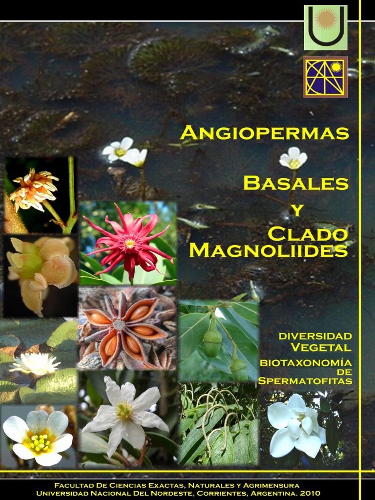 Angiospermas basales: Características de Amborellales y Amborellaceae ...