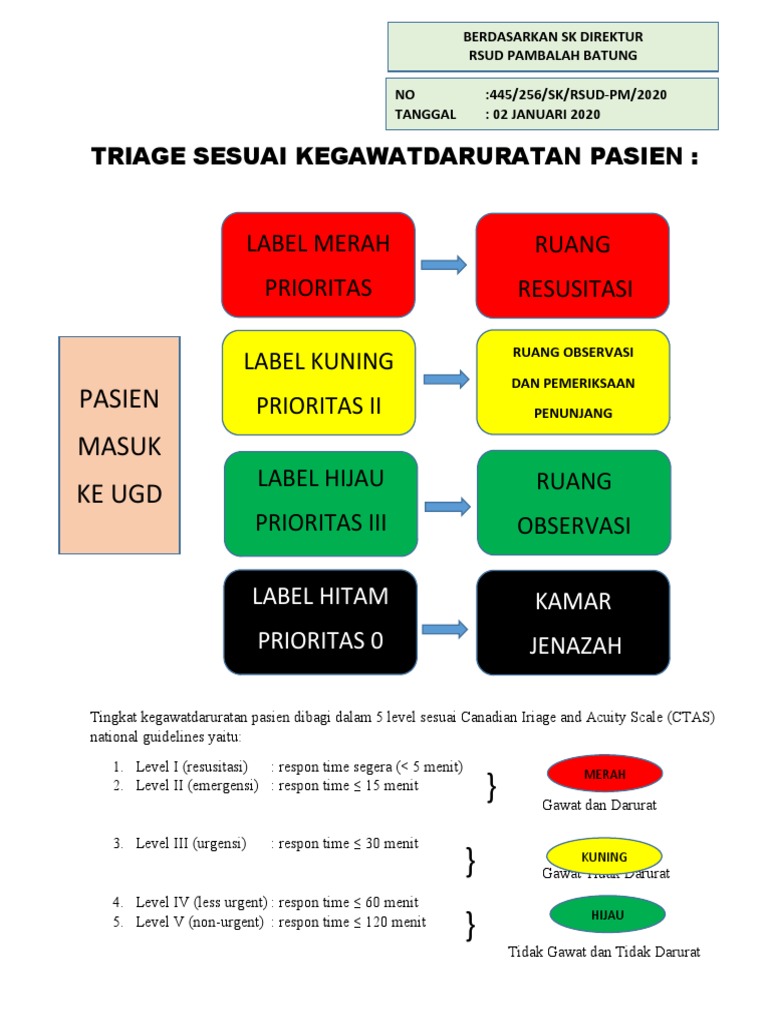 Triage Sesuai Kegawatdaruratan Pasien-Budi | PDF