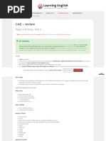 CAE Report Writing | PDF