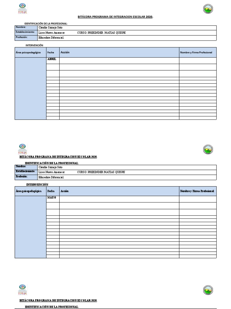 Bitacora PIE Mensual Cccs | PDF
