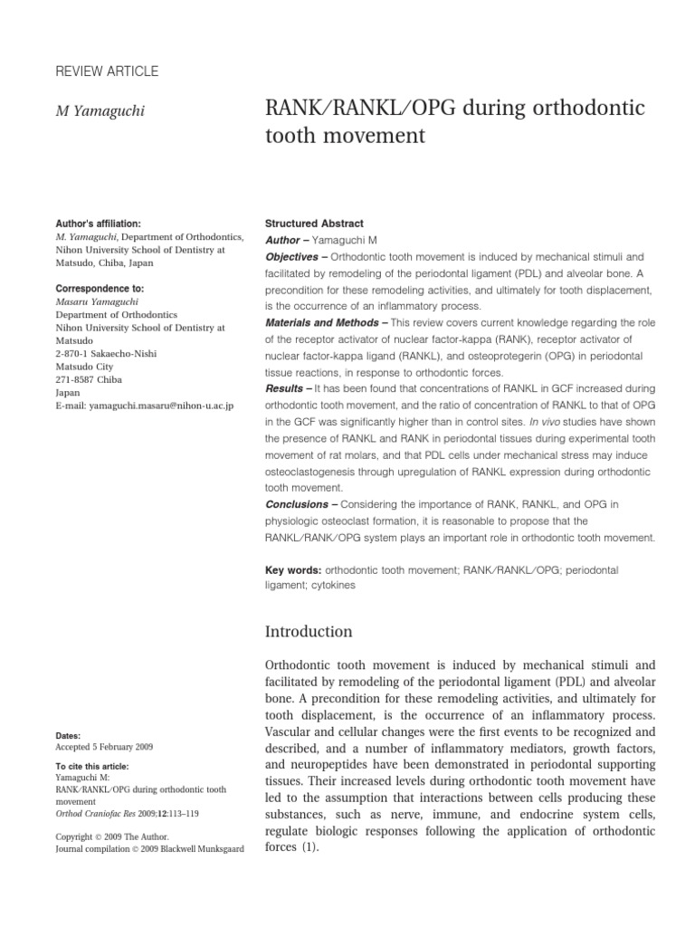 RANK RANKL OPG During Orthodontic Tooth Movement: M Yamaguchi | PDF ...