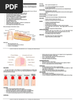 Nail Technology Training Manual | PDF | Nail (Anatomy) | Skeleton