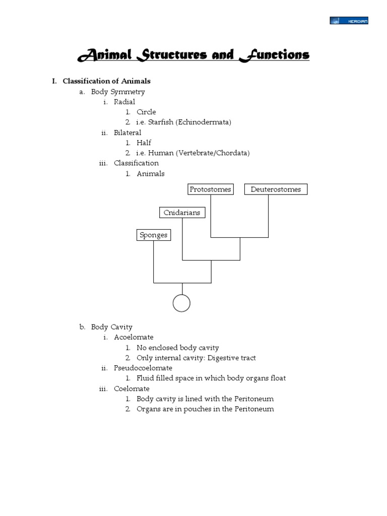 Animal Structures and Functions: I. Classification of Animals | PDF ...