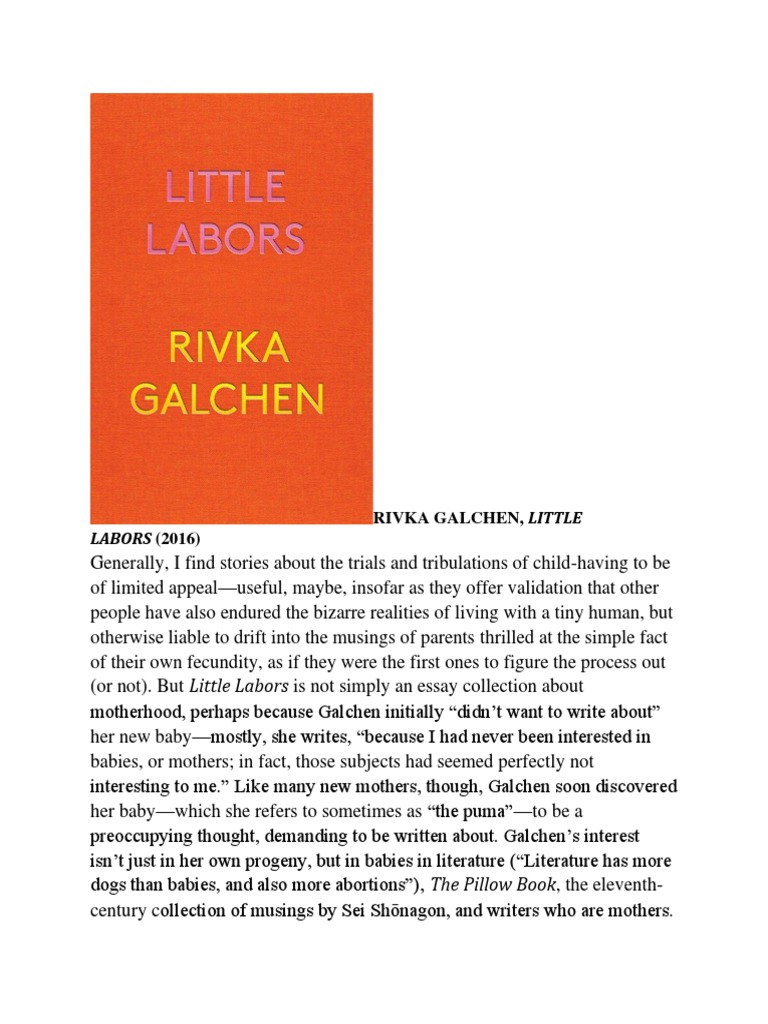 Rivka Galchen, Little Labors (2016) | Download Free PDF | Mental Disorder