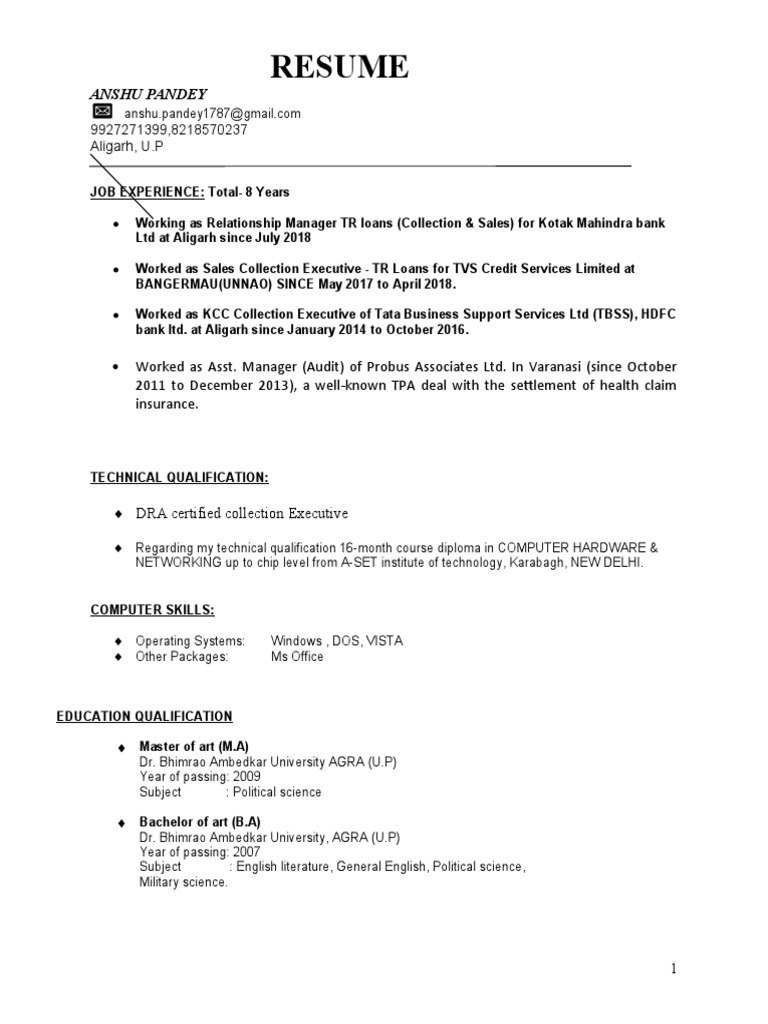 Anshu CV New | PDF