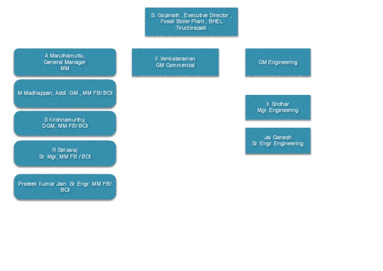 BHEL Hierarchy | PDF
