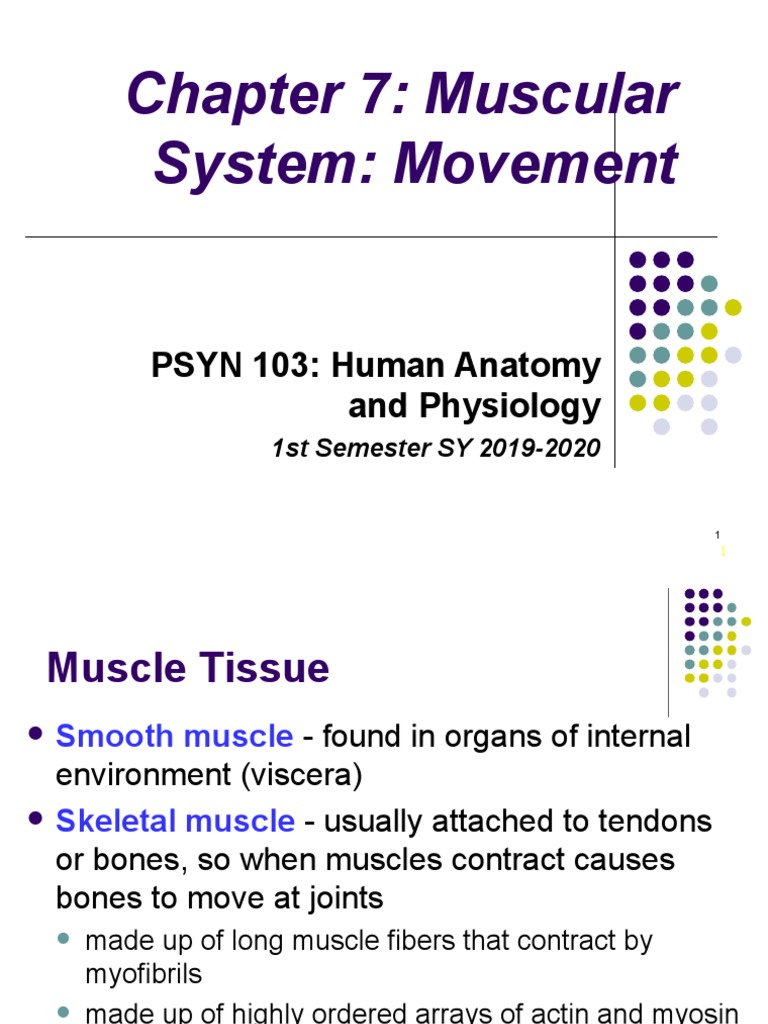 Chapter 7: Muscular System: Movement: PSYN 103: Human Anatomy and Physiology | Download Free PDF ...