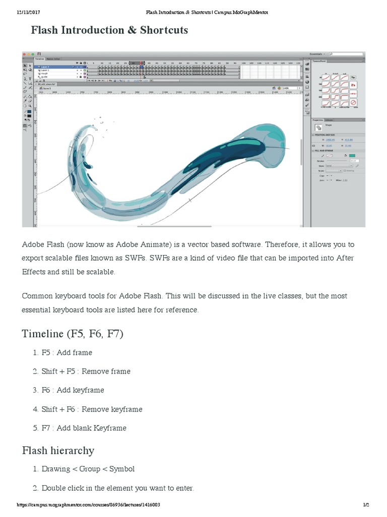 1.flash Introduction & Shortcuts | PDF