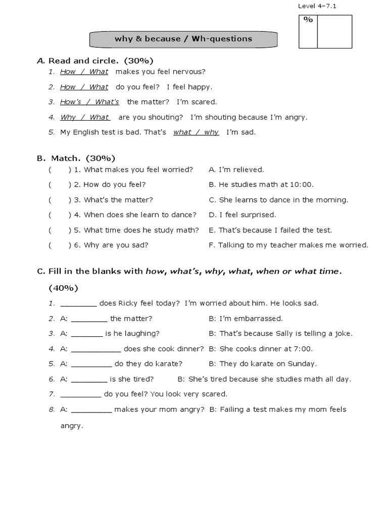 Wh-Questions Practice Worksheet | PDF