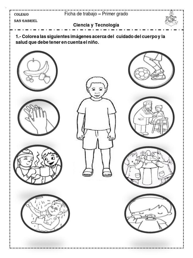 Ficha de Ciencia Sobre El Cuidado Del Cuerpo Primer Grado . | PDF ...