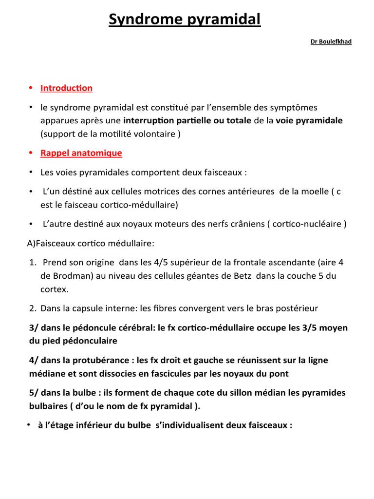 Pyramidale | PDF | Système nerveux | Anatomie humaine