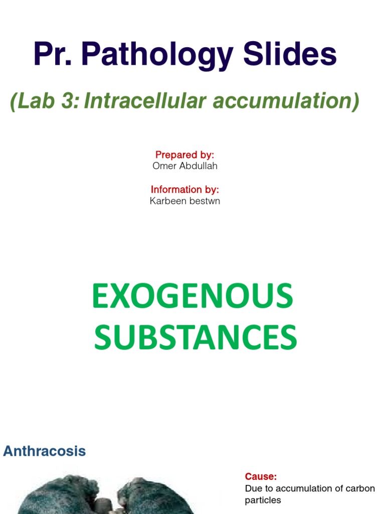 Patho Lab 3 PDF | PDF | Atherosclerosis | Cholesterol