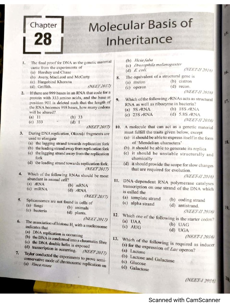 MCQ of Molecular Basic of Inheritance in Biology Class 12 | PDF