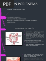 Protocolo de Estudio de Tránsito Intestinal | PDF | Intestino delgado ...