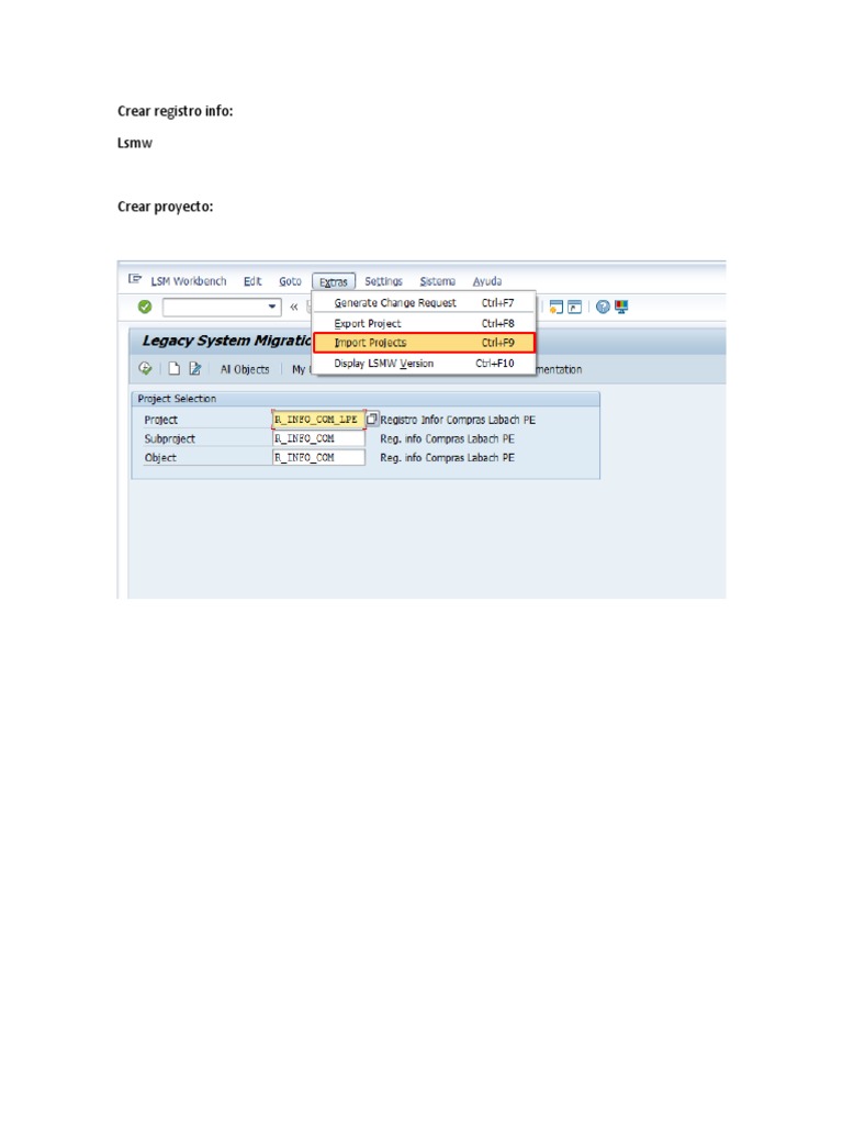 Creación de Registro Info en SAP | PDF