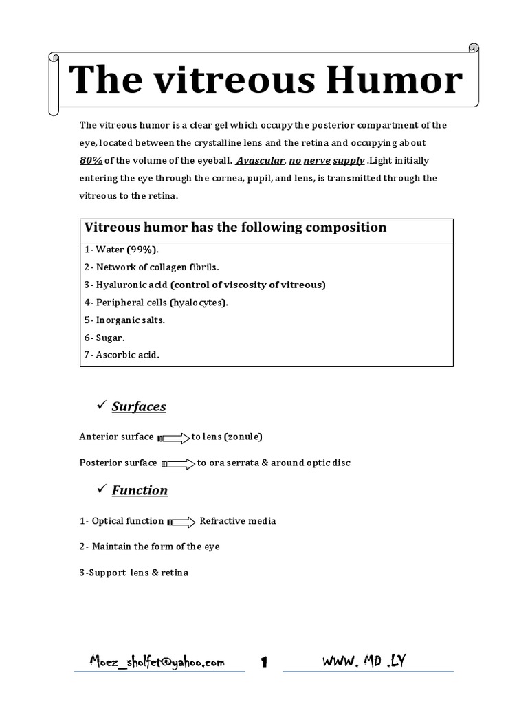 The Structure, Composition, and Functions of the Vitreous Humor | PDF ...