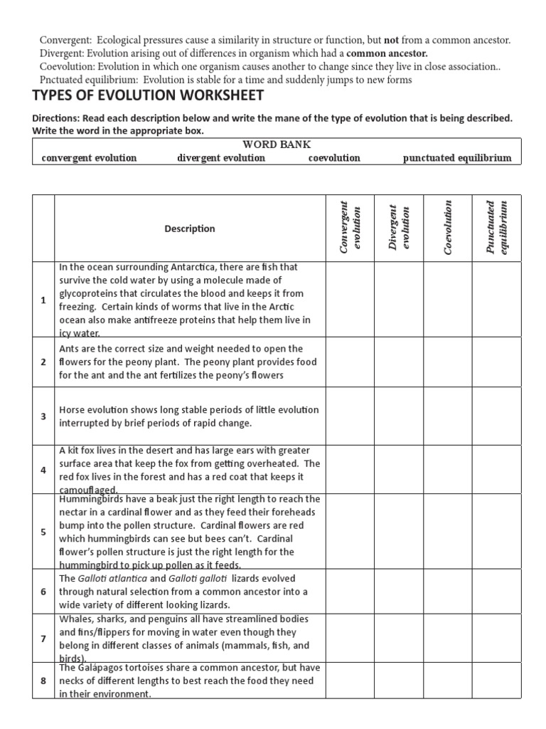 Types of Evolution Worksheet: Convergent Evolution Divergent Evolution ...