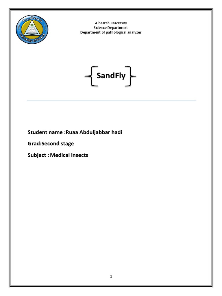Sandfly: Student Name:Ruaa Abduljabbar Hadi Grad:Second Stage Subject ...