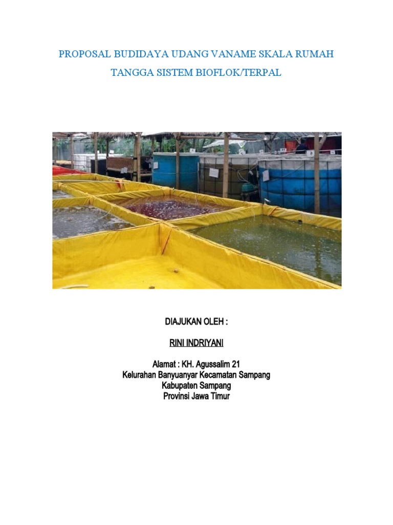 Proposal Budidaya Udang Kolam Terpal | PDF