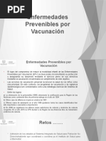 Lineamientos Generales PVU 2024 Alta | PDF