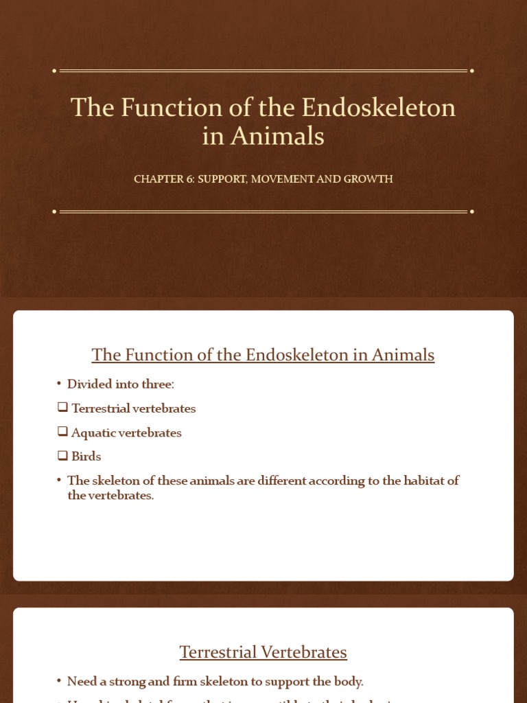 The Function of The Endoskeleton in Animals: Chapter 6: Support ...