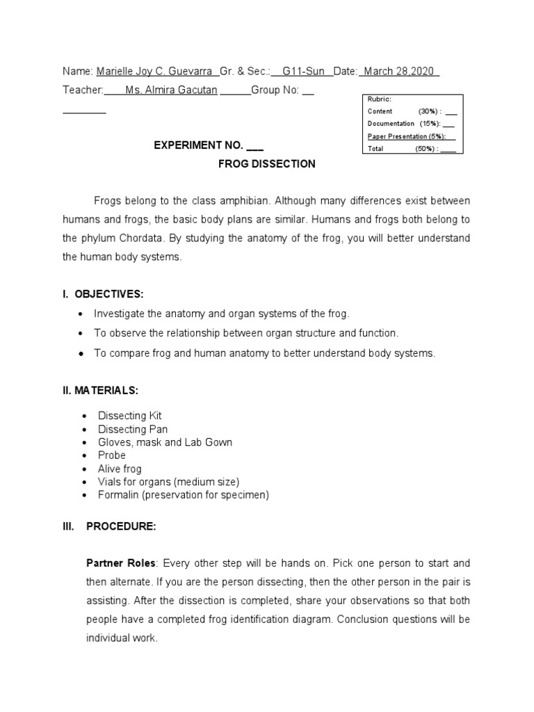 Experiment No. - Frog Dissection: Rubric | PDF | Small Intestine | Frog