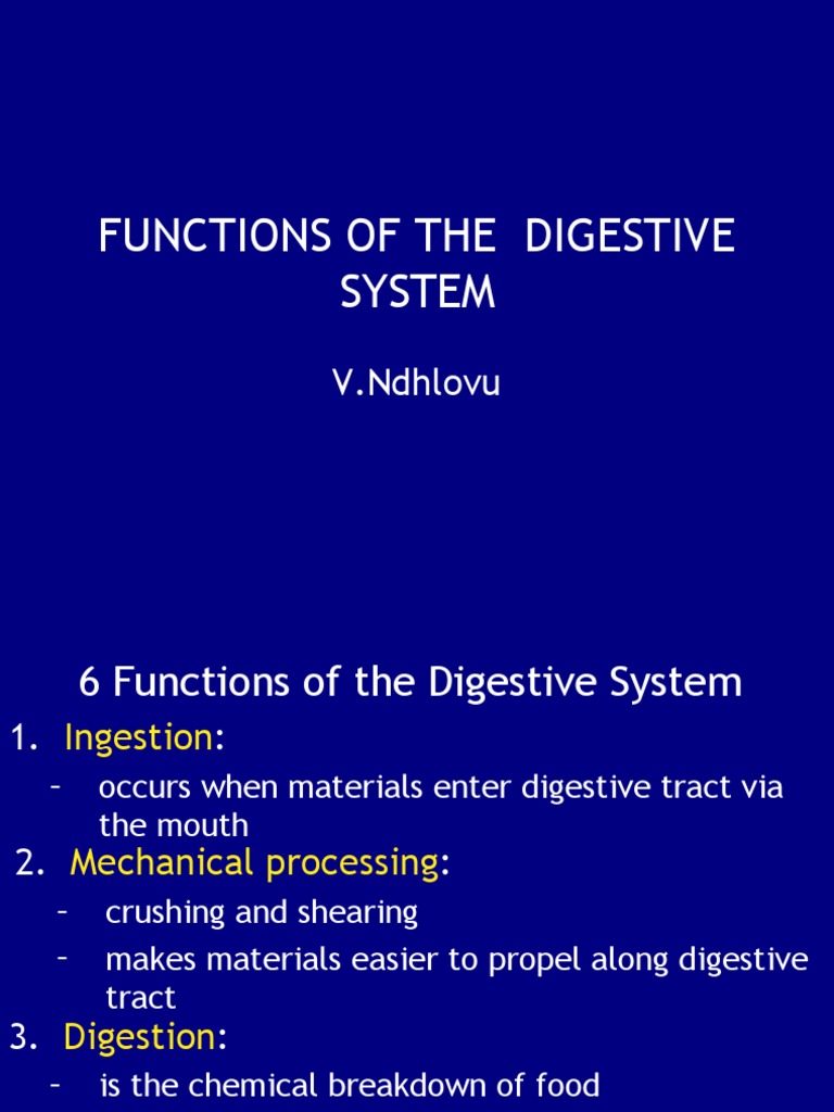 Functions of The Digestive System: V.Ndhlovu | PDF | Human Digestive ...