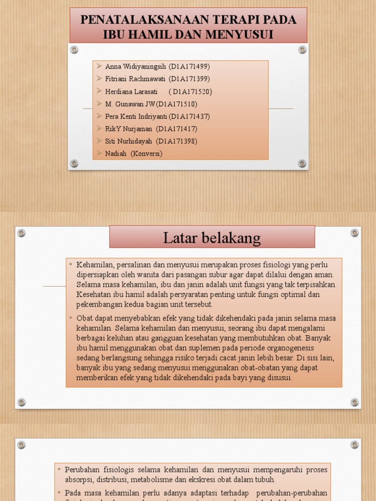 Ibu Hamil Dan Menyusui Revisi 1 | PDF