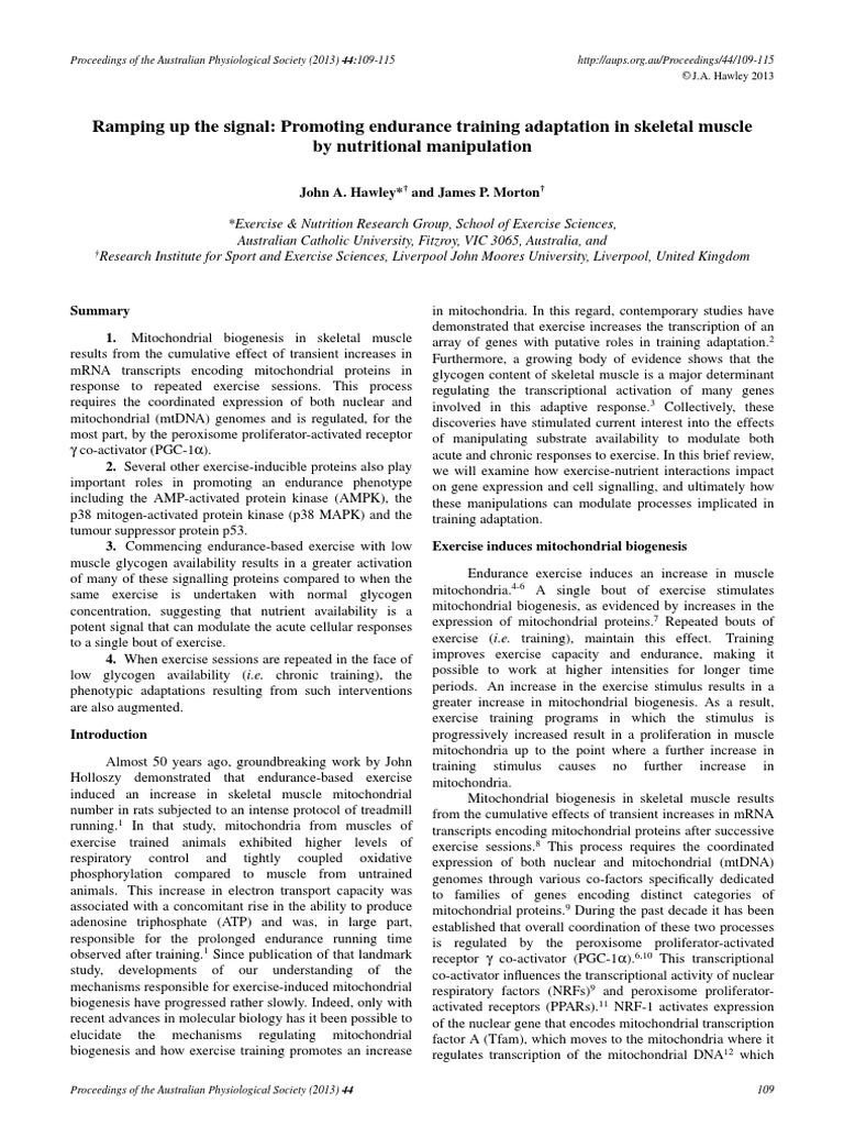 Ramping Up The Signal: Promoting Endurance Training Adaptation in ...