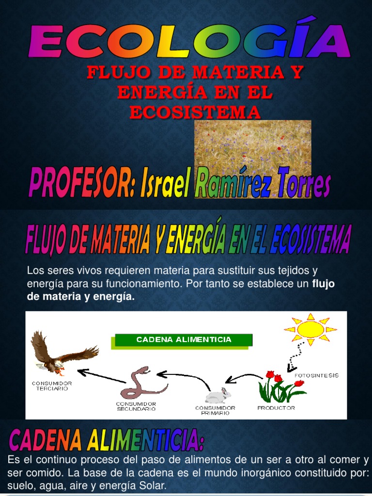 FLUJO de materia y energía en EL ECOSISTEMA PDF | PDF | Biogeografia ...