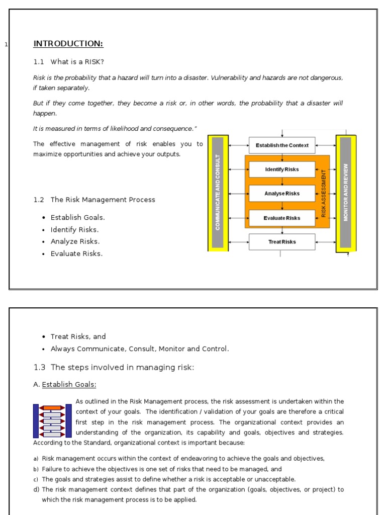 Report Risk Management For Hospitals | PDF | Risk Management | Risk
