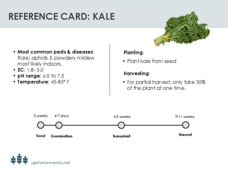 Reference Card Kale 2 | PDF