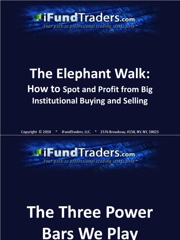 Elephant LV | PDF | Elephant | Financial Economics