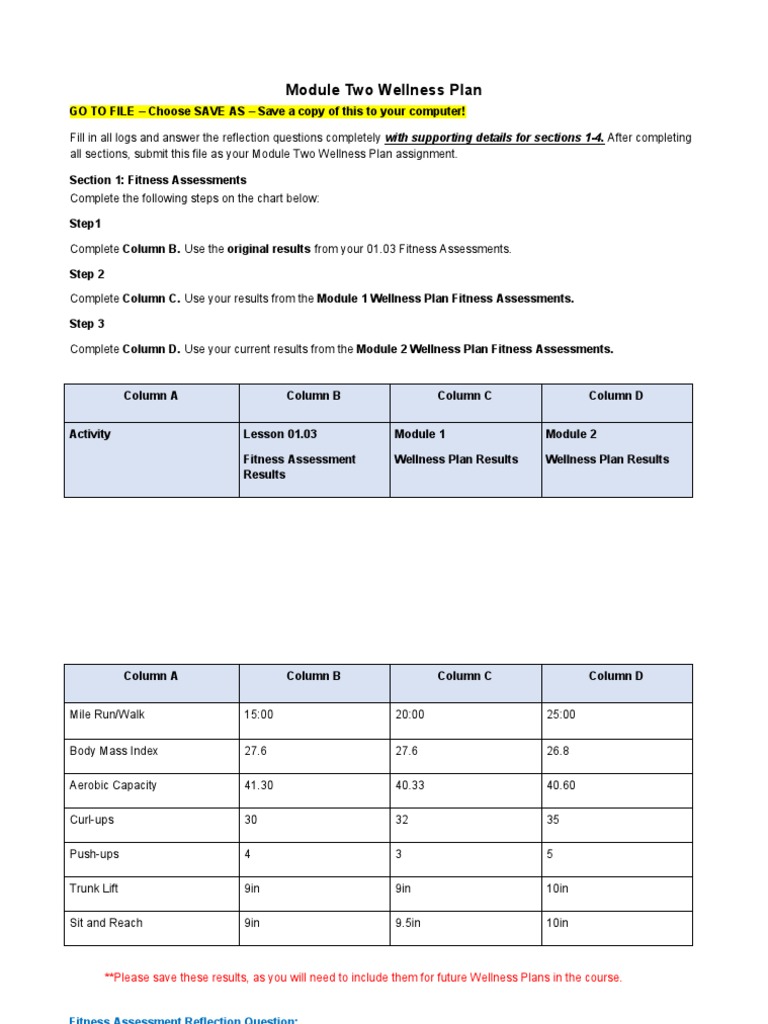 Module Two Wellness Plan: Assessing Fitness Progress and Developing ...