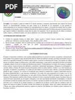 Guia Grado 7 Biologia Tejidos Vegetales | PDF | Plantas | Hoja