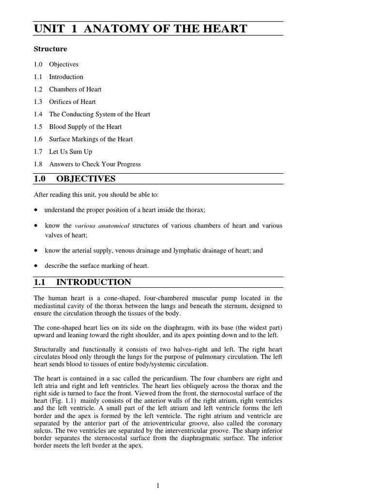 Unit 1 Anatomy of The Heart | PDF | Coronary Circulation | Heart Valve