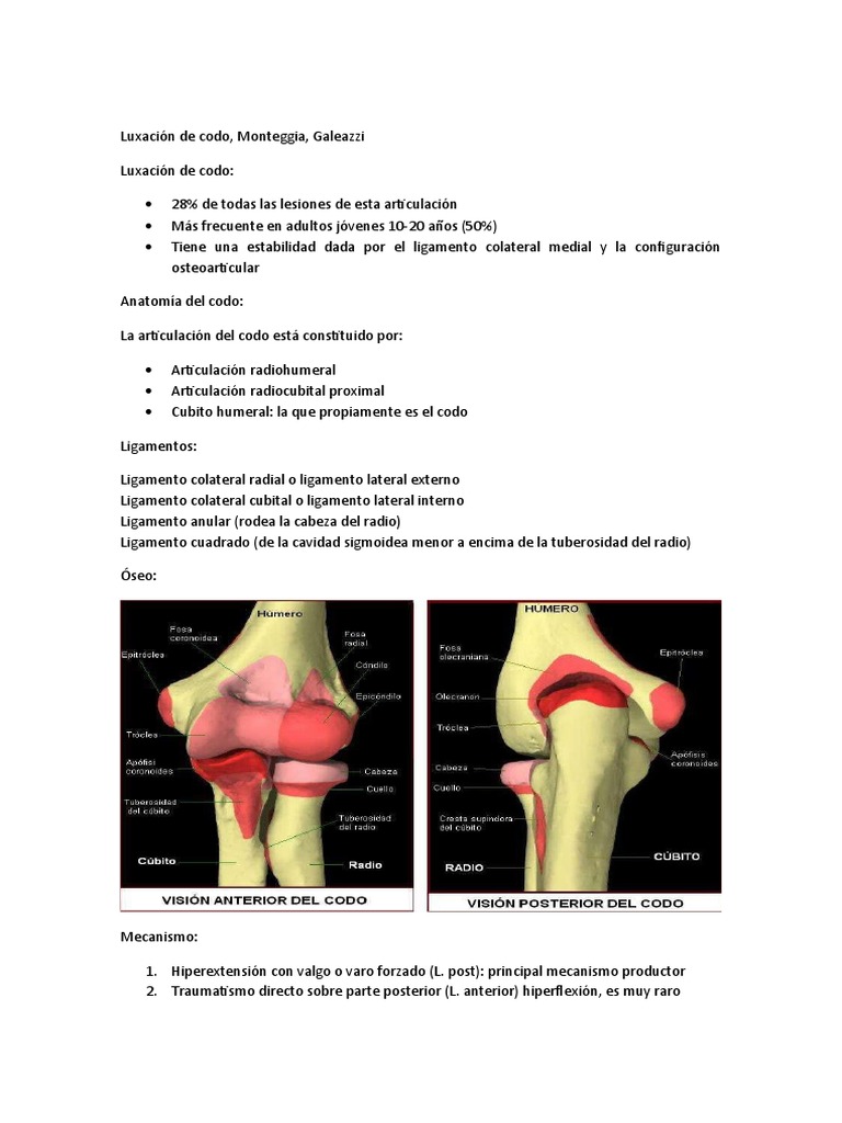 Luxación de Codo | PDF | Codo | Articulaciones