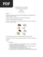 Betacort Plus: Indicaciones y Uso | PDF | Corticosteroides ...