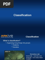 Animal Classification Chart - Invertebrates | PDF | Invertebrate | Zoology