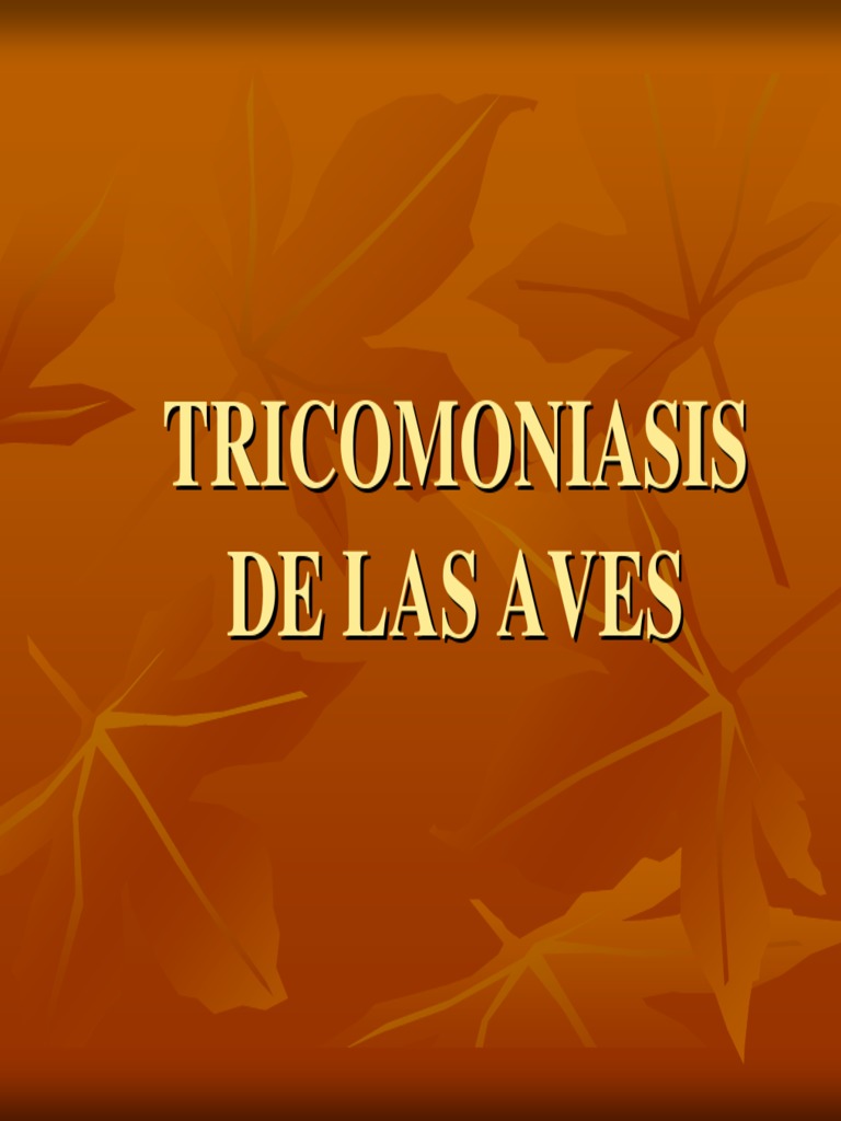 Tricomoniasis De Las Aves Pdf Pdf