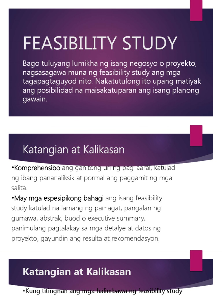 Feasibility Study PDF | PDF